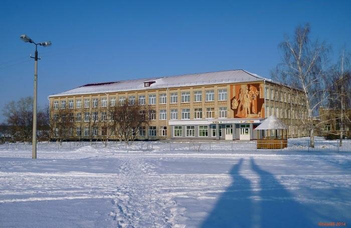 Ortaokul Новичихинская средняя общеобразовательная школа, Altayski krayı, foto