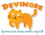 Devinore ua cattery of British shorthair cats (Oleksandra Dovzhenka Street No:16В), evcil hayvan yetiştiricileri  Kiev'den