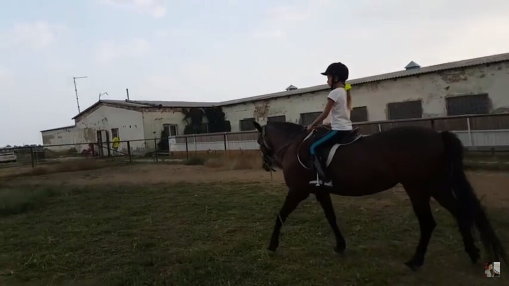 At ve binicilik kulüpleri Конно-спортивный клуб Триумф, Kırım Cumhuriyeti, foto