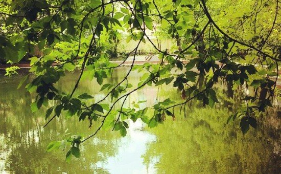 Kültür ve eğlence parkları Antropova Yama Public Garden, Moskova, foto
