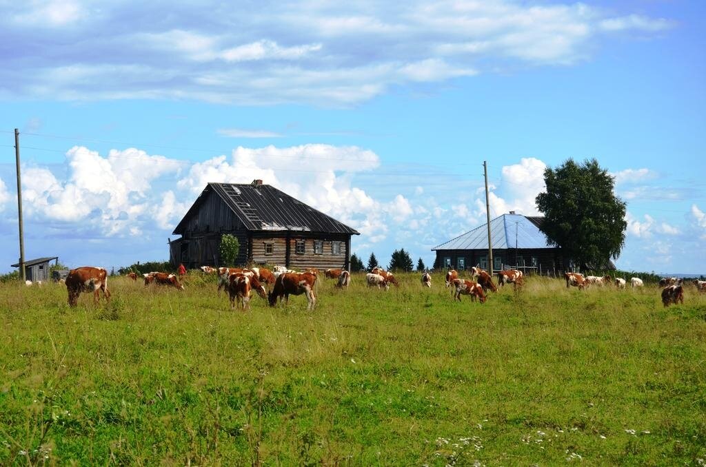 Kısa süreli konaklama Домик в деревне Лисицино, Karelya, foto