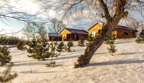 Tatil köyleri Letuchaya Ryba, Volgogradskaya oblastı, foto