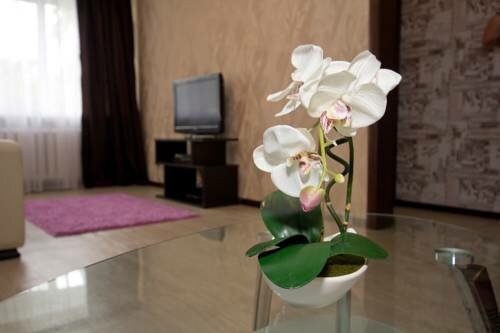 Otel Orkhideya, Bobruisk, foto