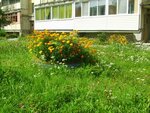 Na Melioratorov (Melioratorov Street No:14), otel  Pechory'den