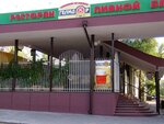 Pivzavod Gelidor (V.I. Lenina Avenue No:101А), bar  Volgograd'dan
