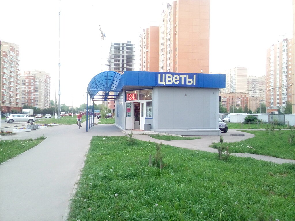 Çiçekçiler Dom tsvetov, Podolsk, foto