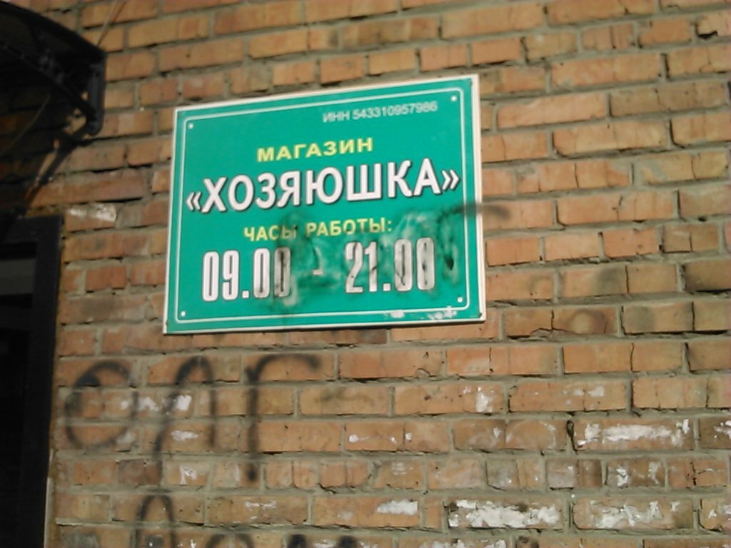 Kırtasiyeler Khozyayushka, Novosibirskaya oblastı, foto