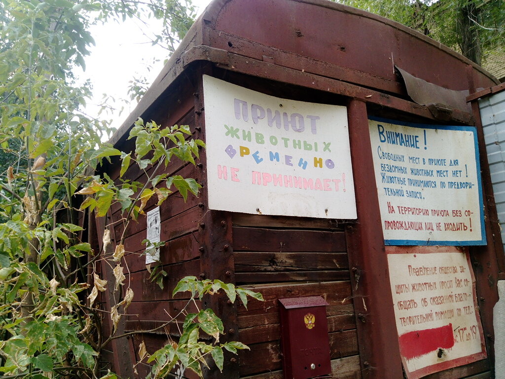 Hayvan barınakları, kulüpleri ve otelleri Priyut dlya zhivotnykh, Saratov, foto