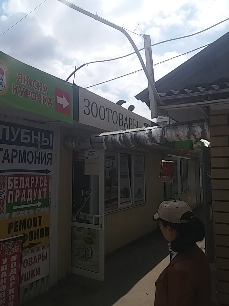 Petshop Zootovary Purina, Harkiv, foto