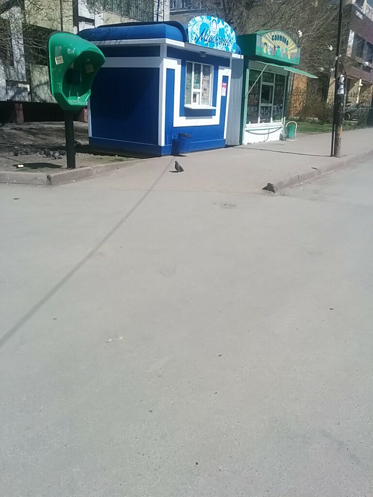 Dondurmacılar Morozhenoye, Kemerovo, foto