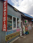 Будматеріали (Kyiv, Pivdennoborshchahivskyi masyv), yapı mağazası  Kiev'den