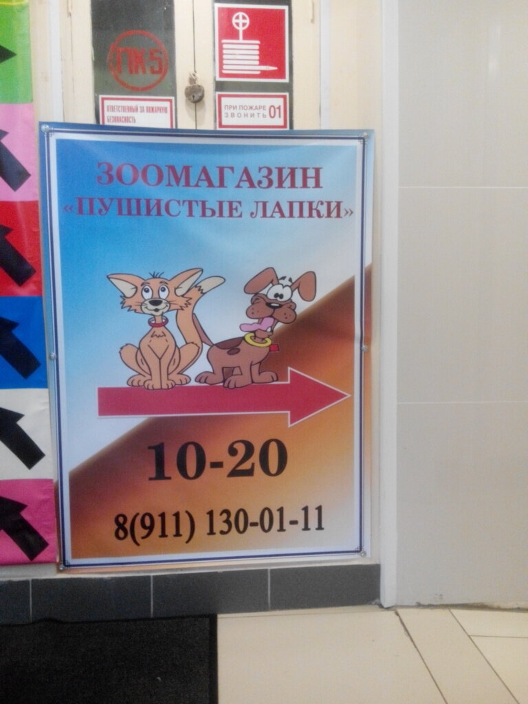 Petshop Pushistyye lapki, Lomonosov, foto