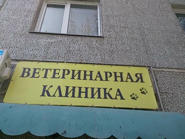 Veteriner klinikleri Veterinarny lechebno-profilaktichesky kompleks, Omsk, foto