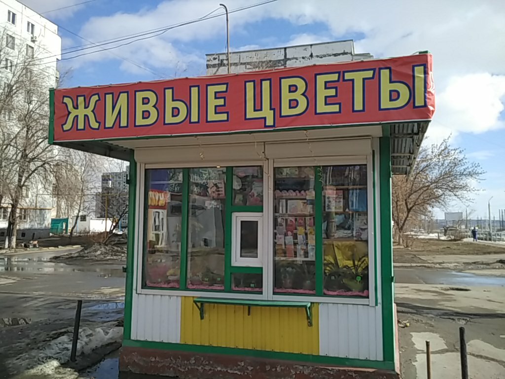 Çiçekçiler Zhivyye tsvety, Novokuybyşevsk, foto