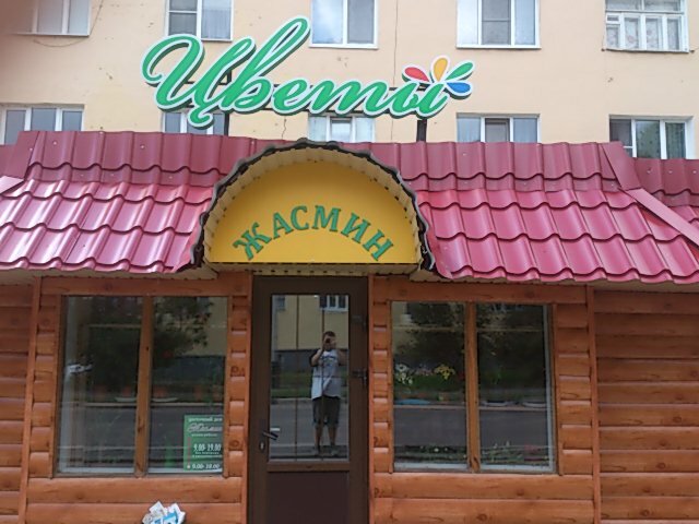 Çiçekçiler Magazin tsvetov, Kotovsk, foto