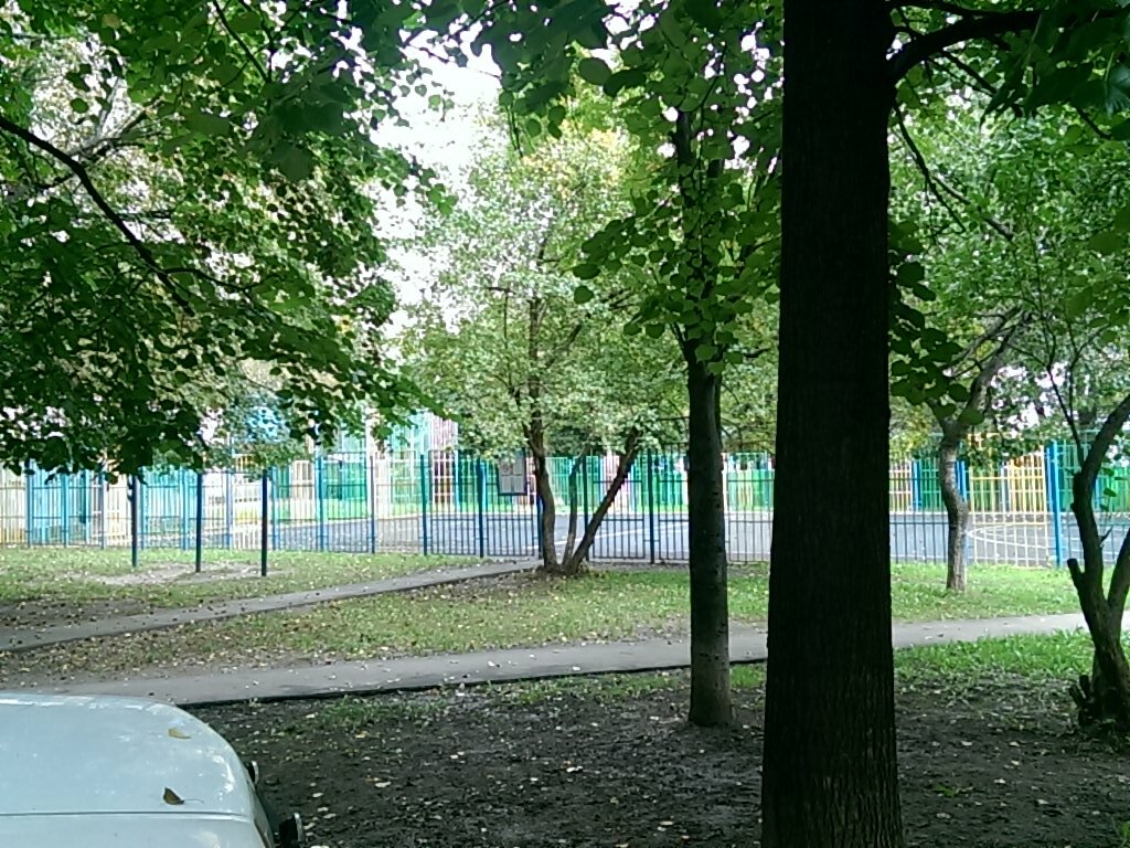 Buz pateni pistleri Ice rink, Moskova, foto