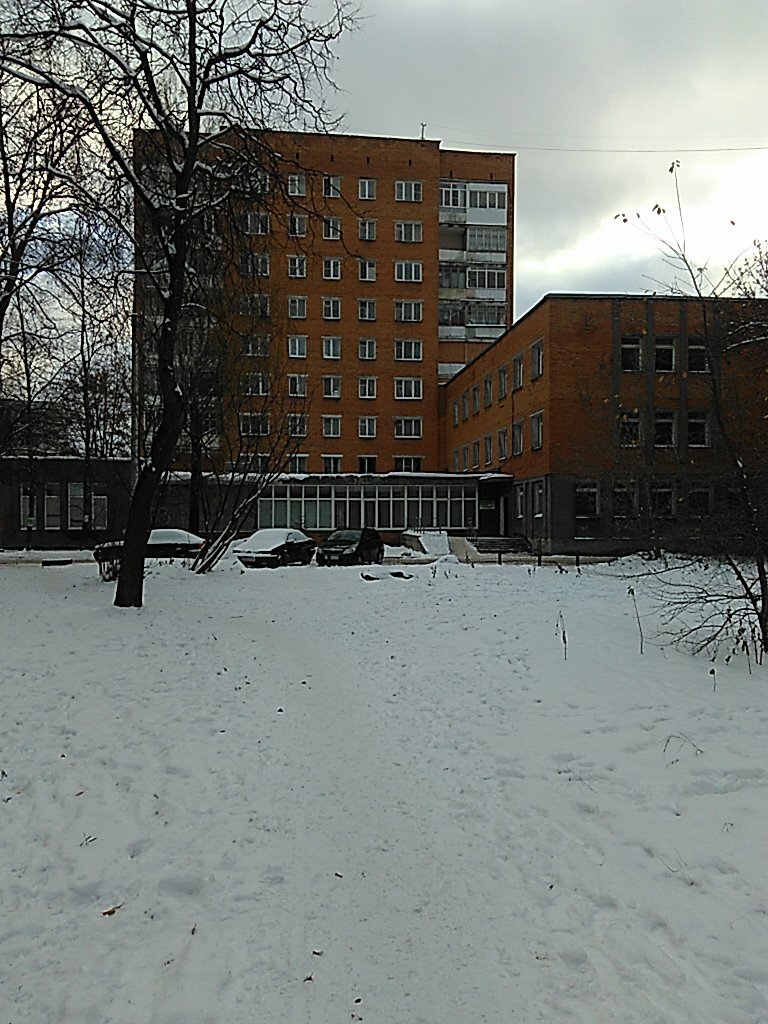 Çocuk ıslah merkezi Lim-po-po, tsentr ranney pomoshchi detyam, Pskov, foto