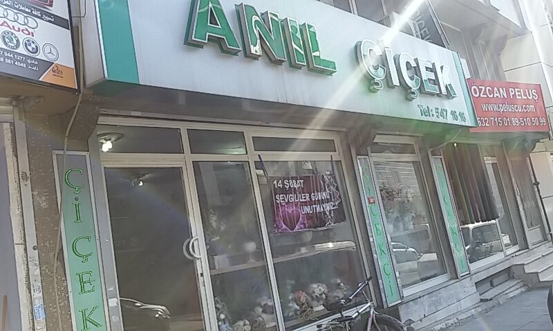 Çiçekçiler Anıl Çiçekçilik, İstanbul, foto