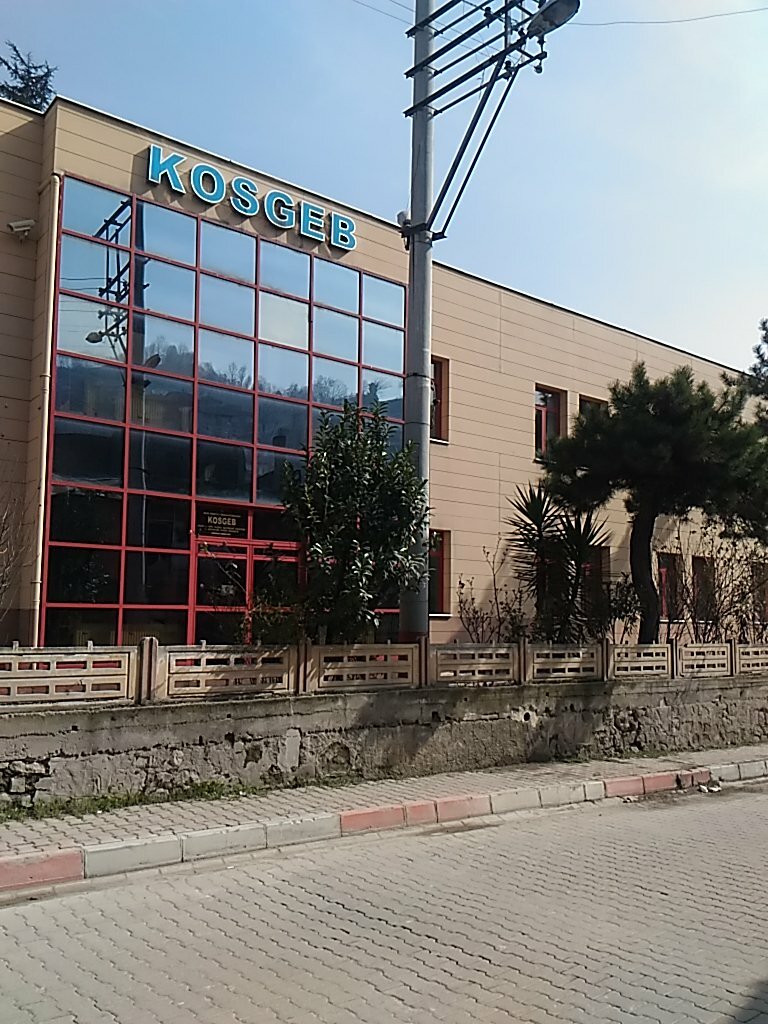 Devlet kurumları ve bakanlıklar Kosgeb, Zonguldak, foto