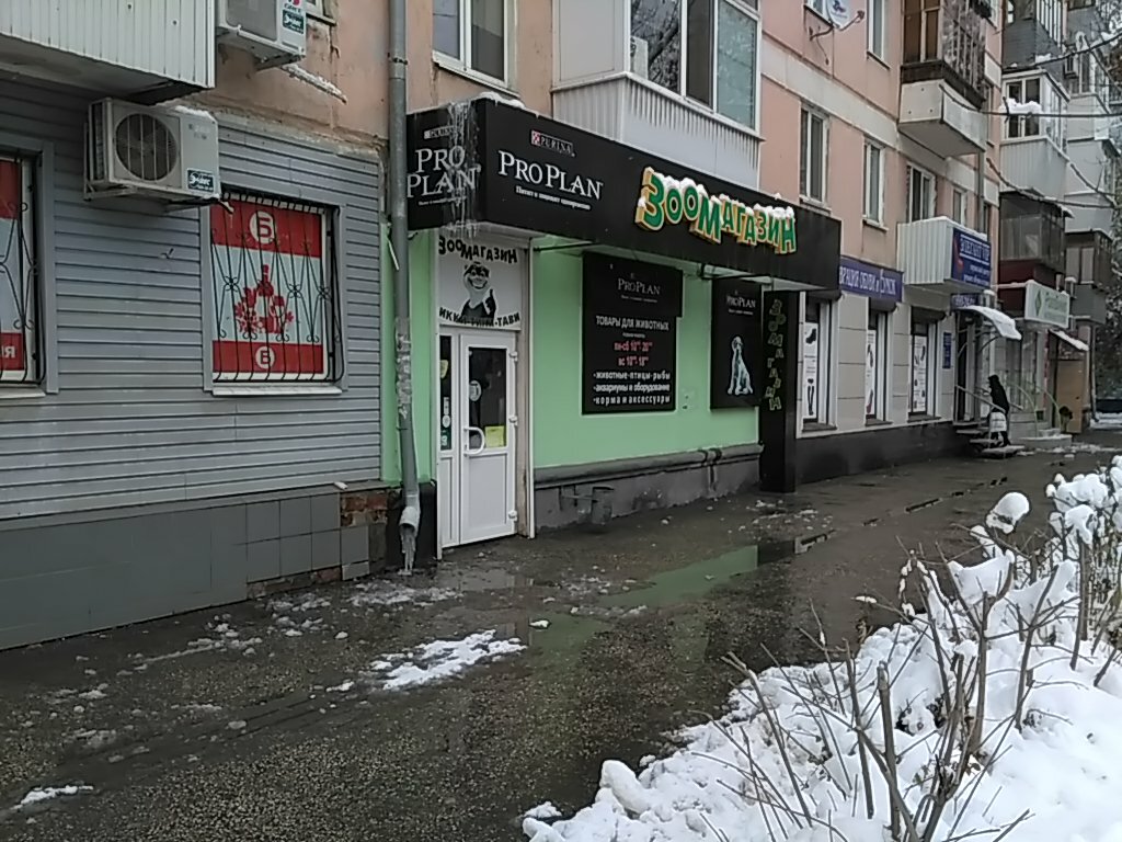 Petshop Rikki-Tikki-Tavi, Samara, foto