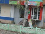 Zoomagazin Zolotaya rybka (ulitsa Dzerzhinskogo No:18), petshop  Novokuybyşevsk'ten