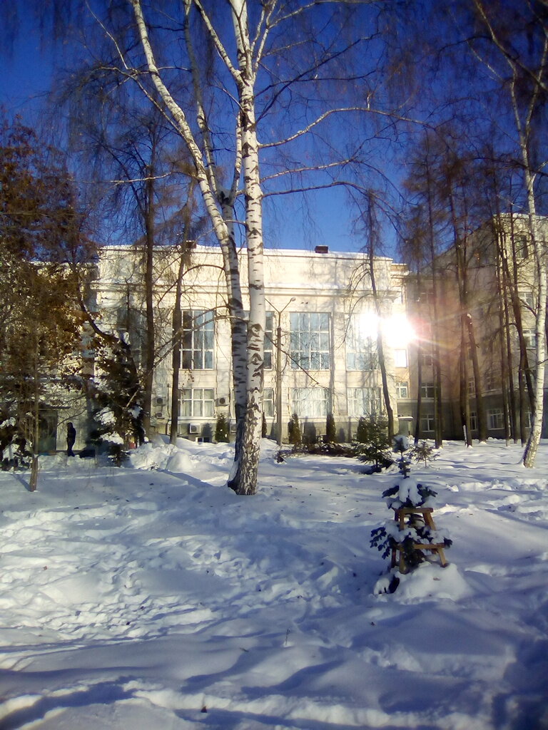 Üniversiteler УГЛТУ, социально-экономический институт, Yekaterinburg, foto