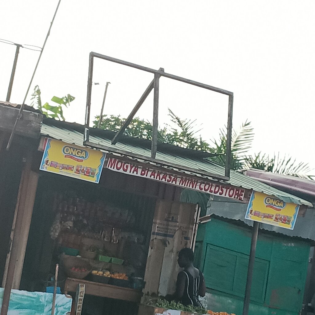 Dondurulmuş gıda firmaları Mogya bi akasa, Dünya, foto