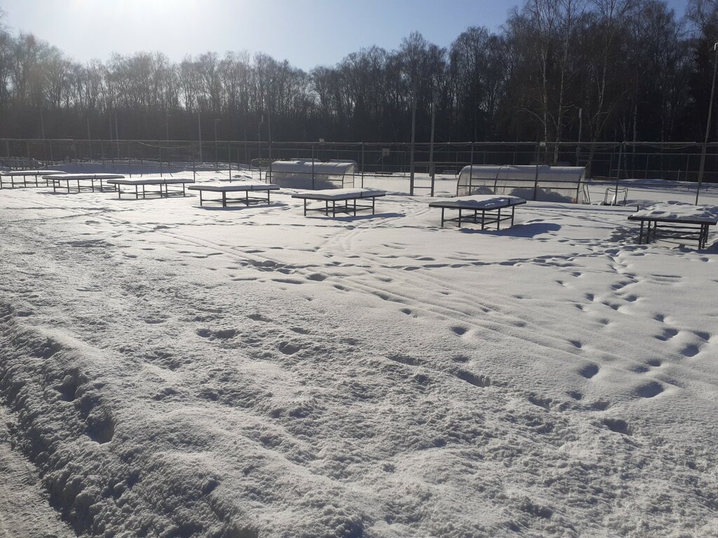Tenis kortu Настольный теннис, Tula, foto