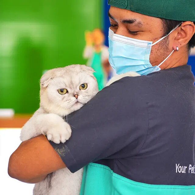 Veteriner klinikleri Vet Plus Center, Sharjah, foto