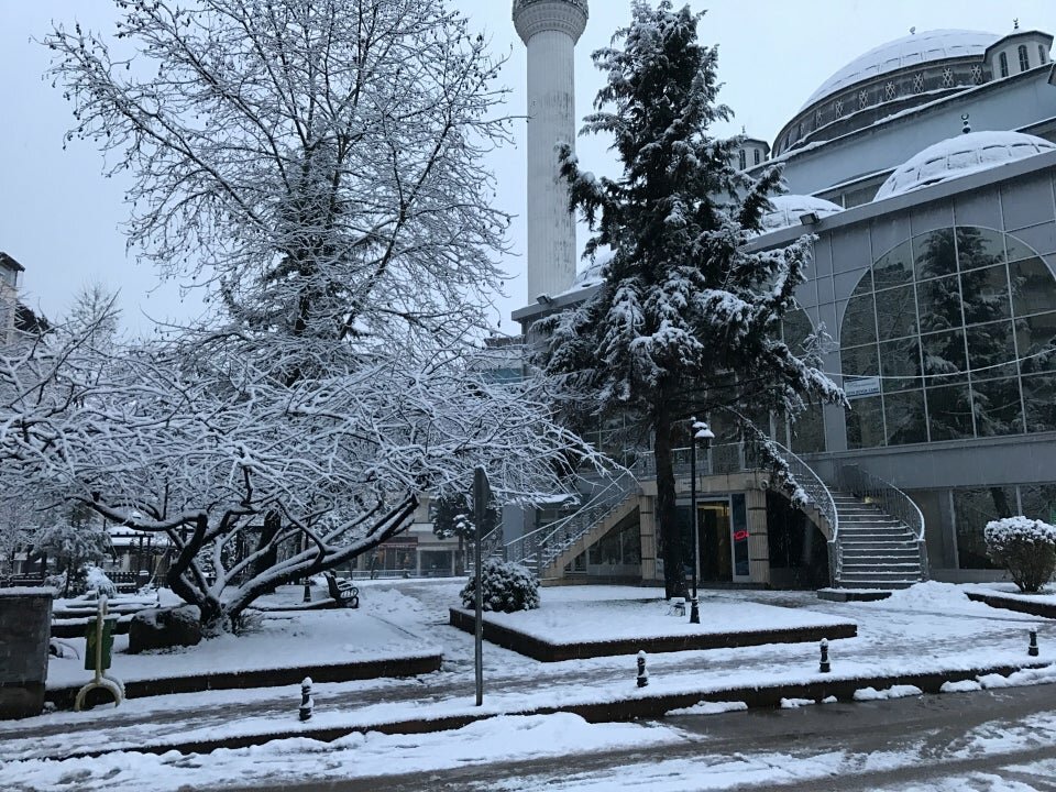 Cami Fatsa Ortabüyük Cami, Fatsa, foto