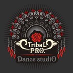 Tribal Rpo (Abaı dańǵyly No:8), dans okulları  Astana'dan