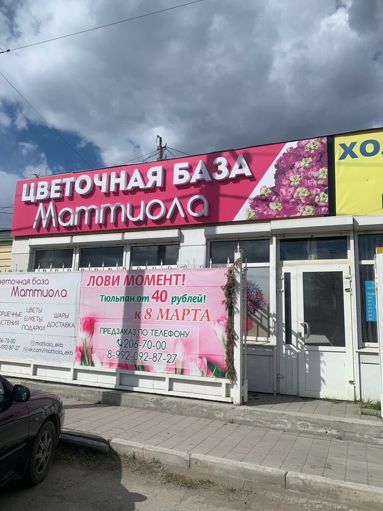 Çiçekçiler Mattiola, Yekaterinburg, foto