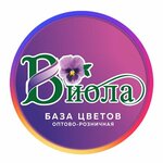 Viola (Moskovskiy prospekt No:57к2), çiçekçiler  Puşkino'dan