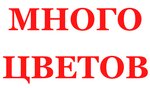Mnogo tsvetov (Mira Avenue No:38), çiçekçiler  Moskova'dan