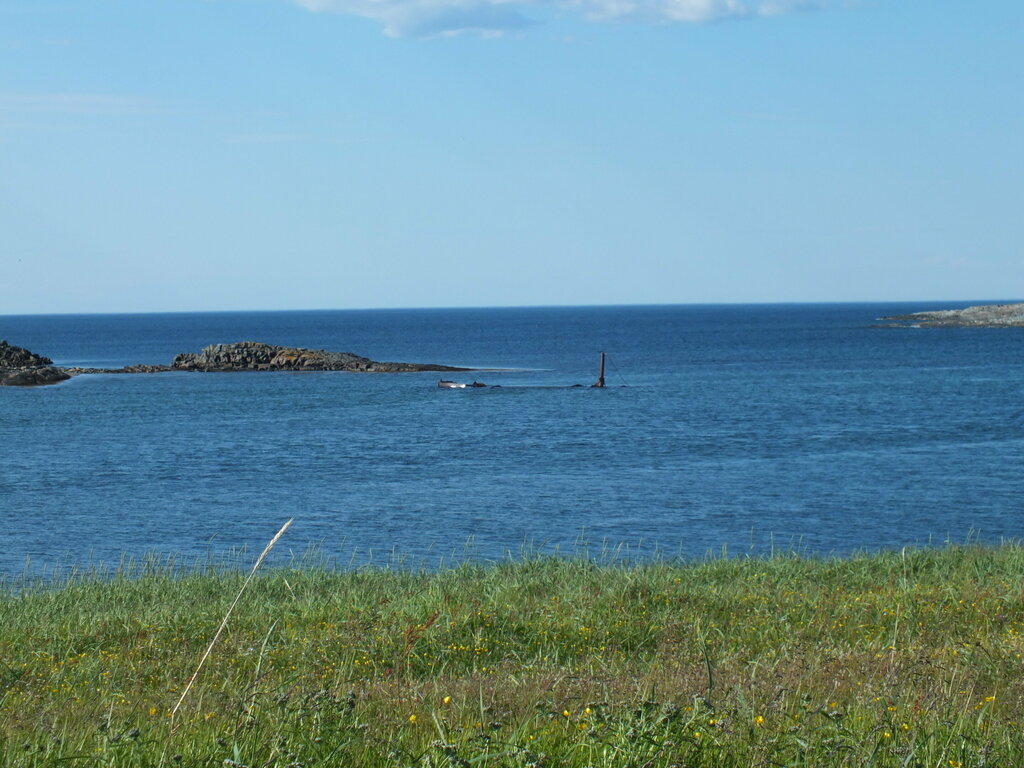 Turistik yerler Затонувший корабль, Murmanskaya oblastı, foto