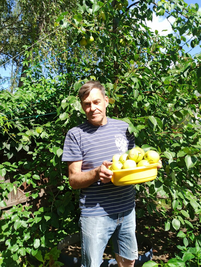 Bahçecilik dernekleri ve kuruluşları СНТ Нефтехимик, Omsk, foto