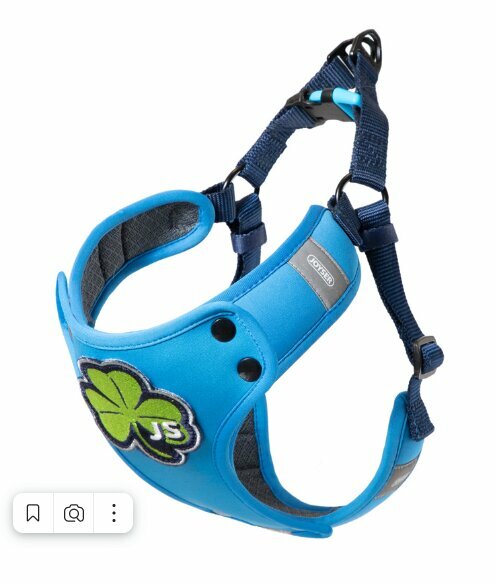 Petshop Зоомагазин в Тверицах, Yaroslavl, foto