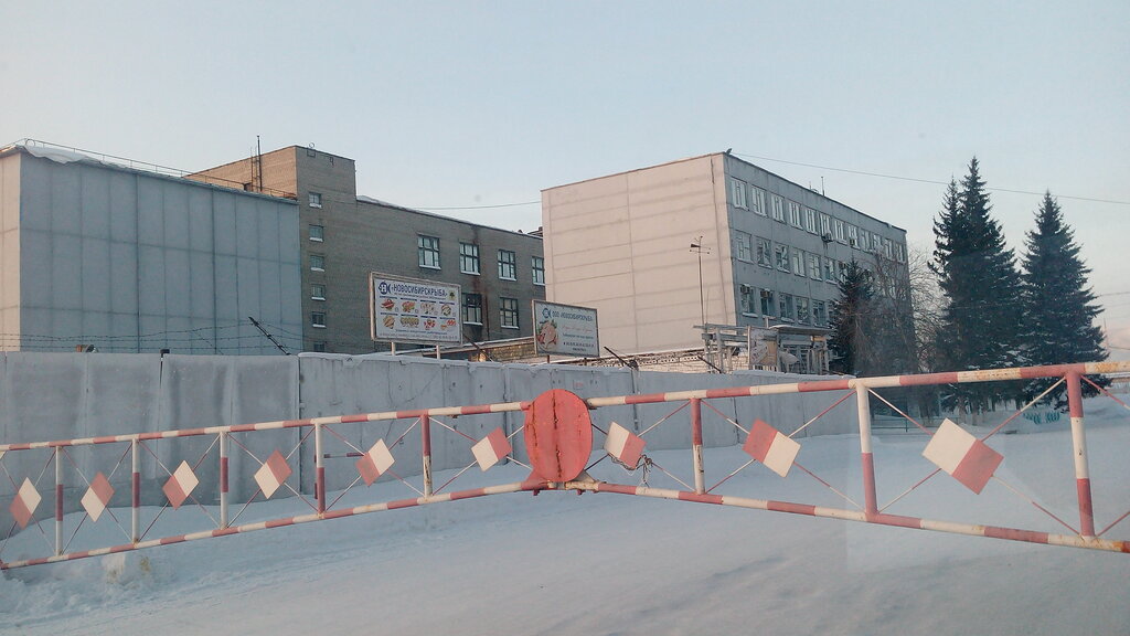 Balık ve deniz ürünleri Novosibirskryba, Novosibirsk, foto