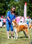 Dog Training (Karbyshava Street No:13), evcil hayvan kuaförleri  Minsk'ten