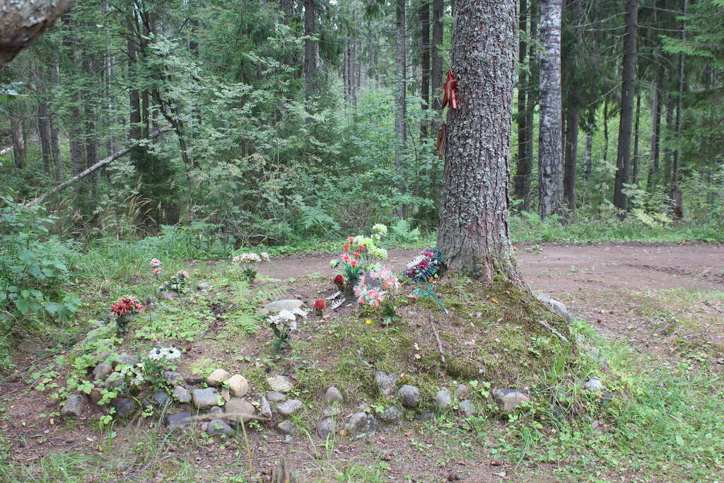 Anıt, heykel Братская могила воинов РККА, Novgorodskaya oblastı, foto