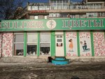 AlexFlor (Bógenbaı batyr dańǵyly No:59Б), çiçekçiler  Astana'dan