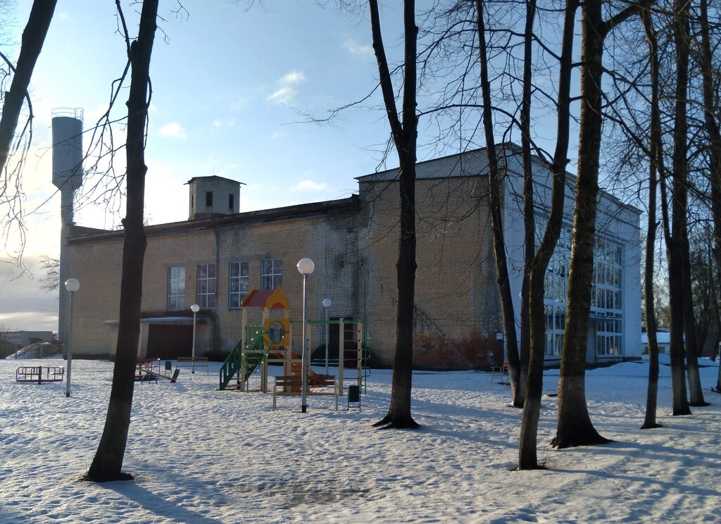 Oyun alanı Playground, Brianskaya oblastı, foto