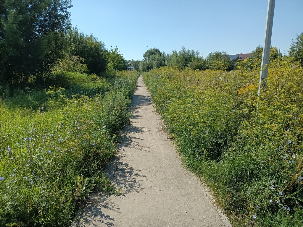 Kültür ve eğlence parkları сквер Роща, Riazan, foto