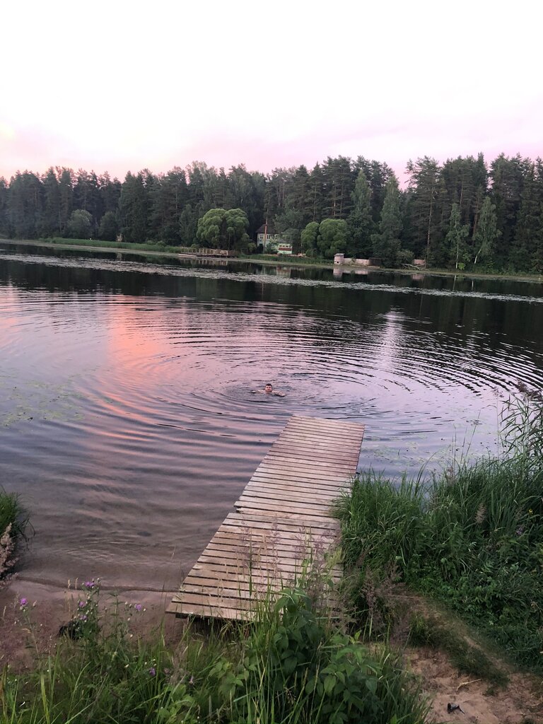 i̇skele Jetty , Saint‑Petersburg ve Leningradskaya oblastı, foto