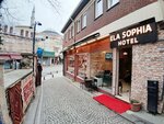 Elasophia hotel (İstanbul, Fatih, Alemdar Cad., 9B), otel  İstanbul'dan