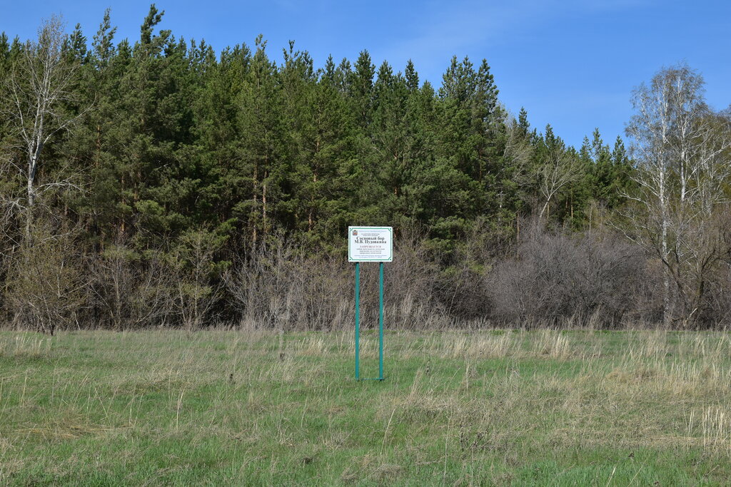 Doğa Сосновый бор М.В. Пудовкина, Orenburgskaya oblastı, foto