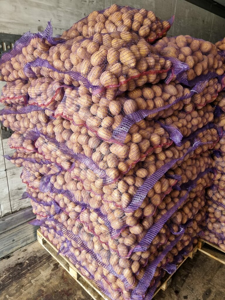 Market Близнецы, Krasnodarski krayı, foto
