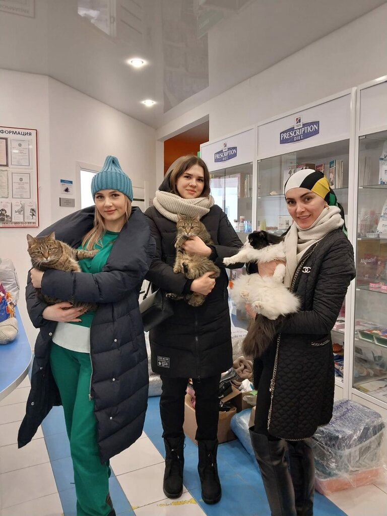 Petshop Мявчик и Гавчик, Hantı‑Mansi Özerk Okrugu, foto