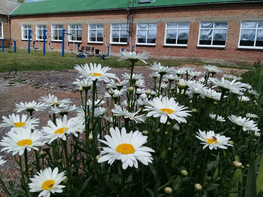 Ortaokul Латоновская средняя общеобразовательная школа, Rostovskaya oblastı, foto