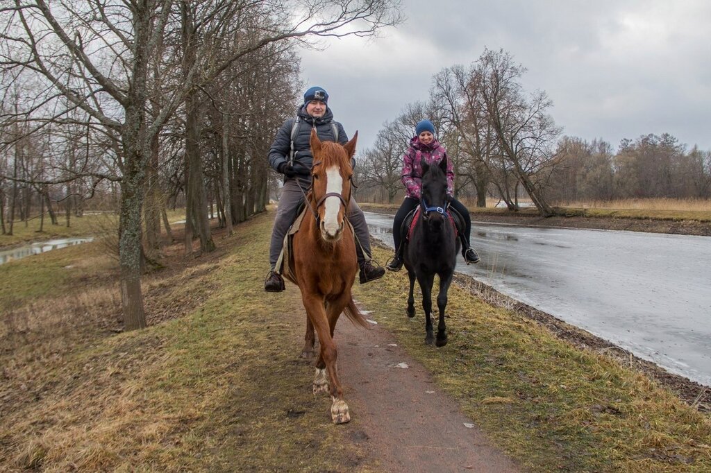 At ve binicilik kulüpleri Konno-sportivny klub Volnitsa, Saint‑Petersburg ve Leningradskaya oblastı, foto